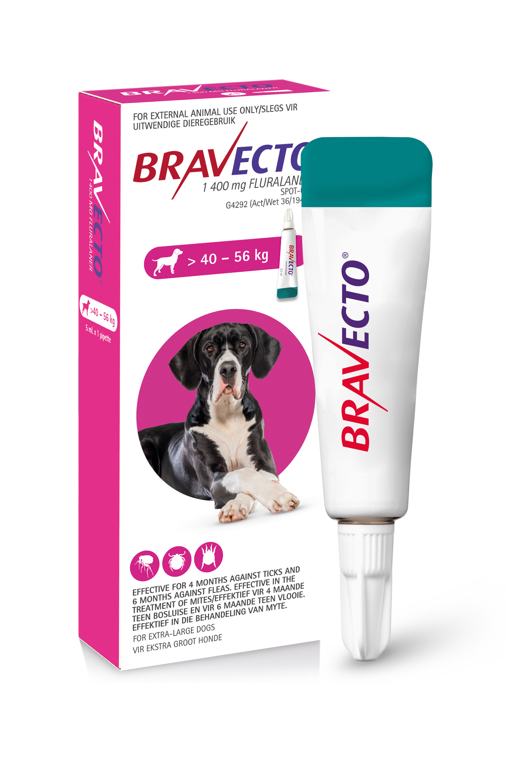 Flea & Tick Treatment For Dogs | BRAVECTO® (FLURALANER)