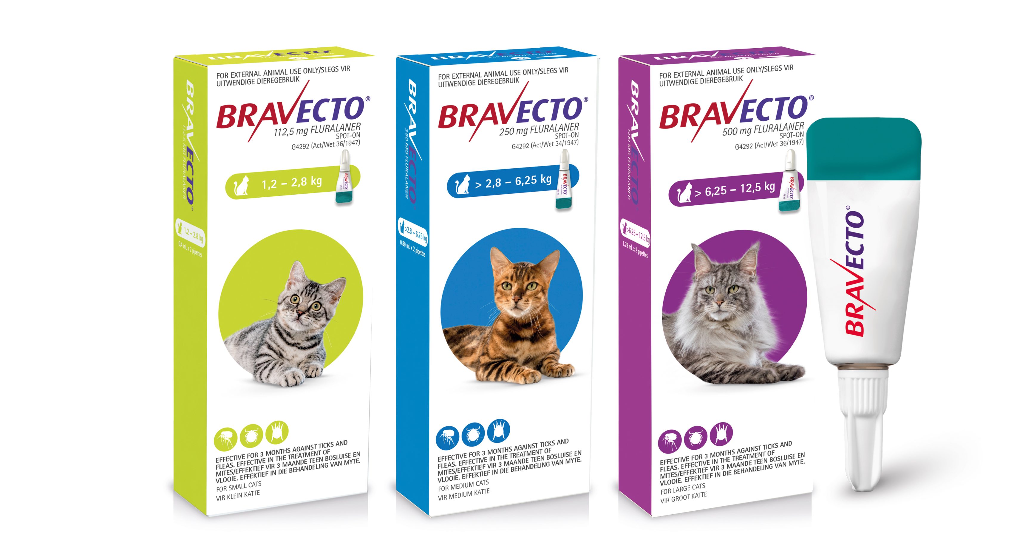Flea & Tick Treatment For Cats | BRAVECTO® (FLURALANER)