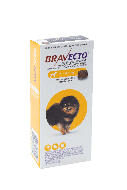 Flea & Tick Treatment For Dogs | BRAVECTO® (FLURALANER)